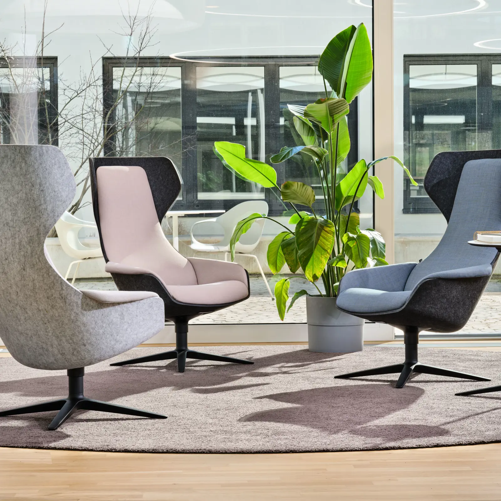 Sedus Furniture | Ergonomic & Sustainable Office Furniture